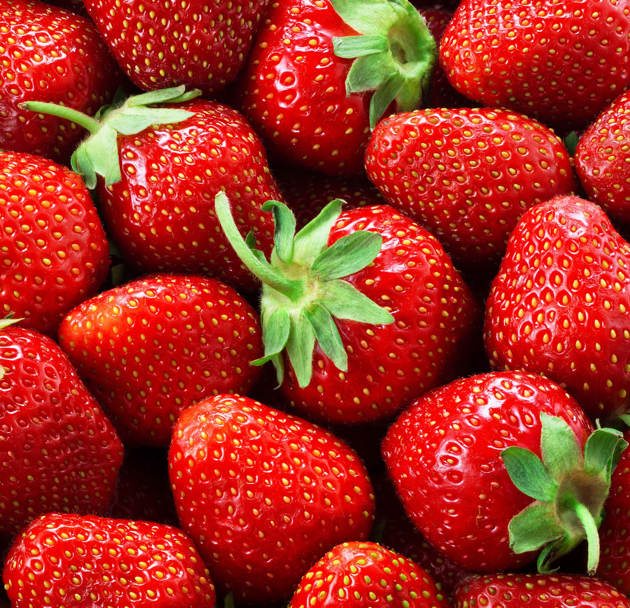 Menus variés chaque semaine - Jean Bouffe